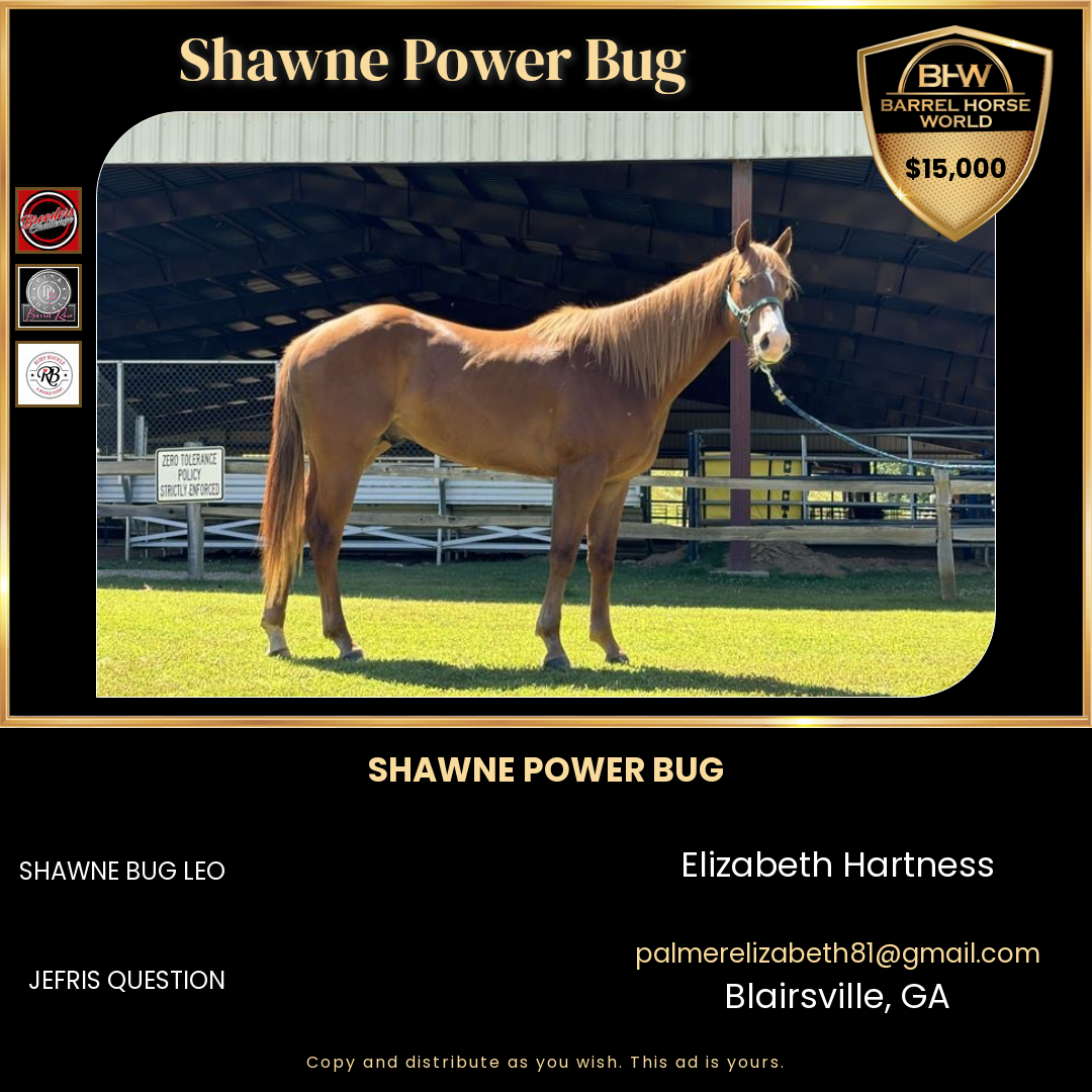 Sold barrel horses - Barrel Horse World