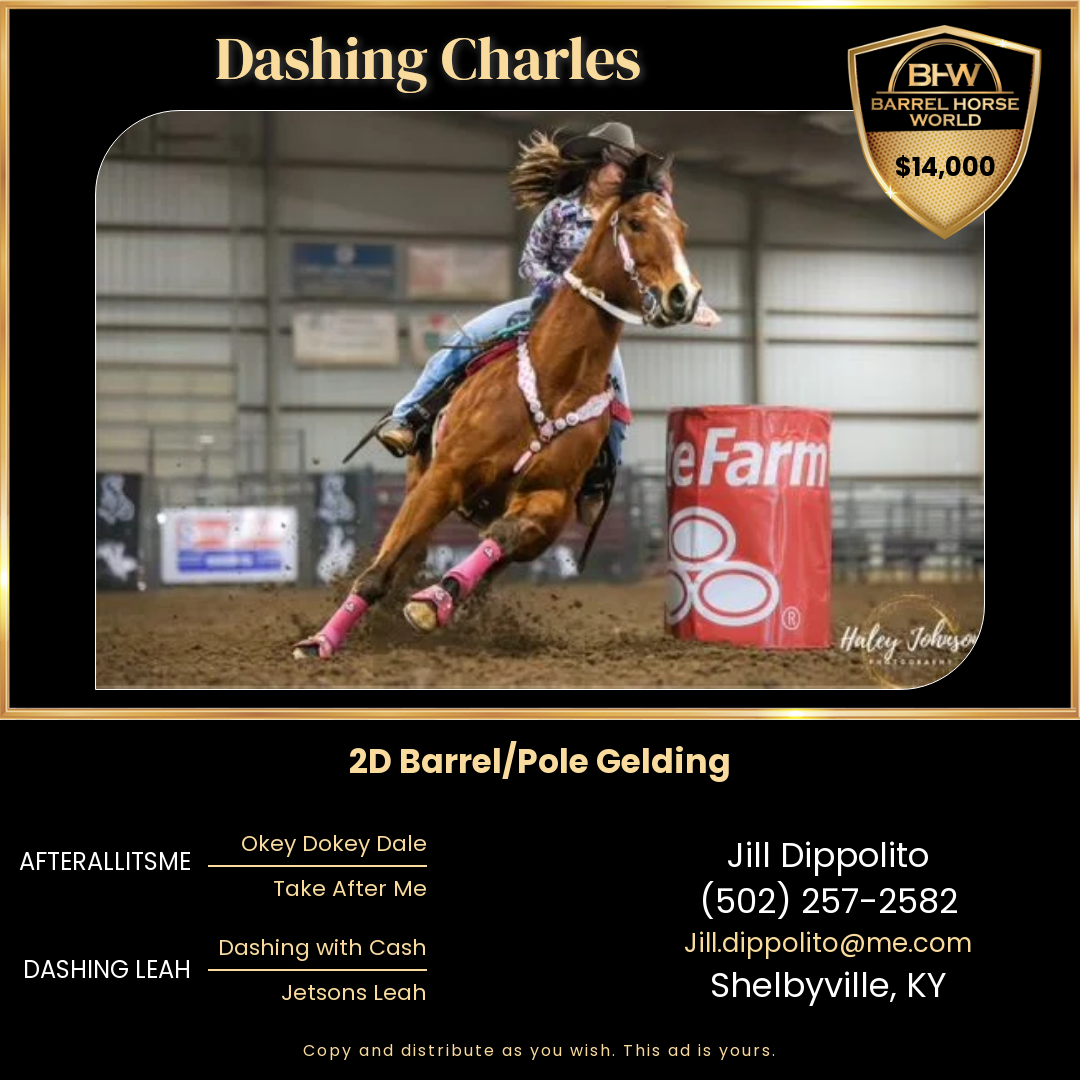 Barrel Horses For Sale