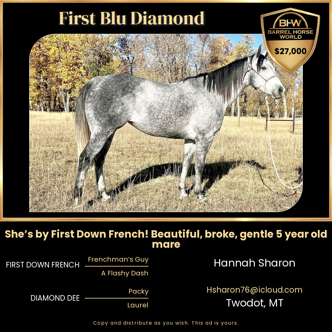 Barrel Horses For Sale