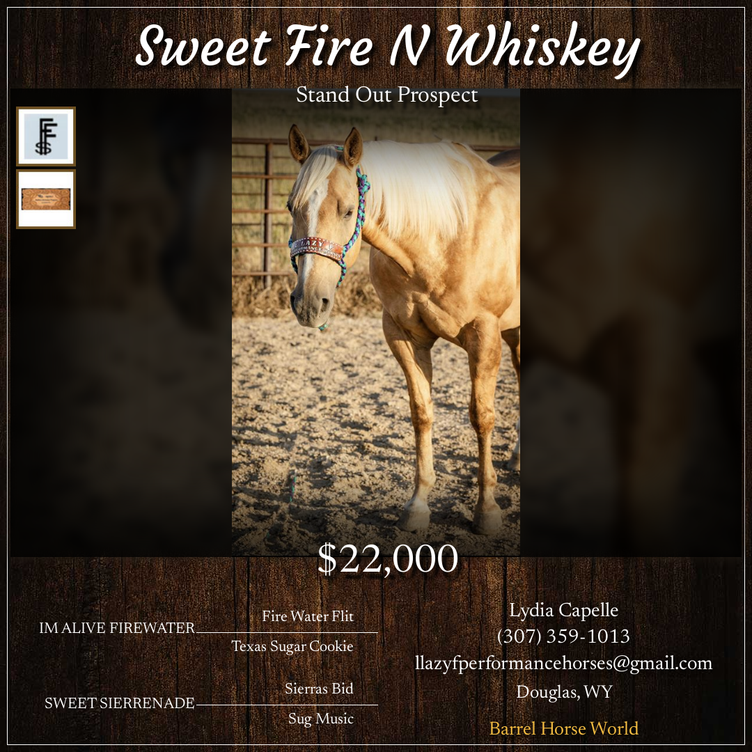 Barrel Horses For Sale