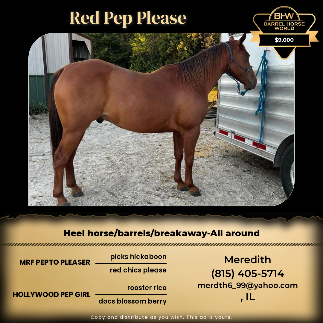 Barrel Horses For Sale