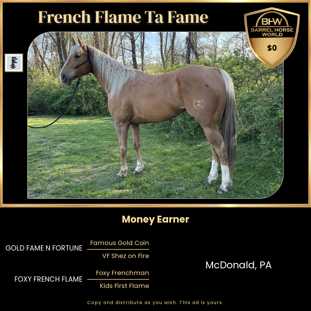 Sold barrel horses - Barrel Horse World